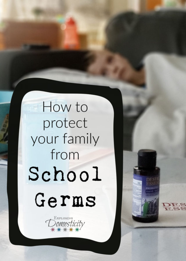 School Germs: How to protect your family ⋆ Exploring Domesticity