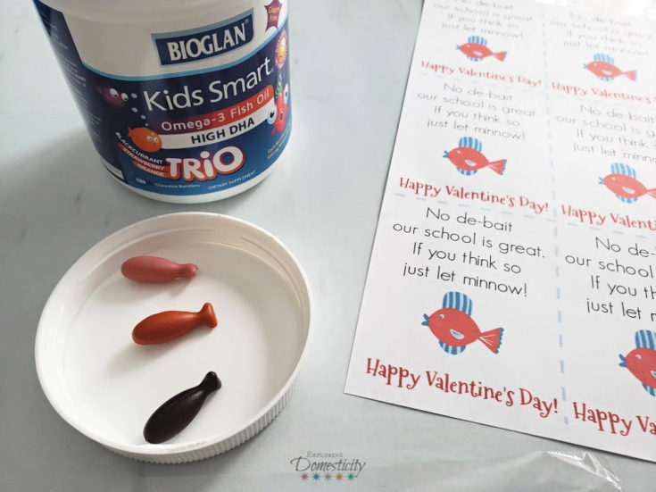 Fish Valentine Ideas and Free Printable ⋆ Exploring Domesticity