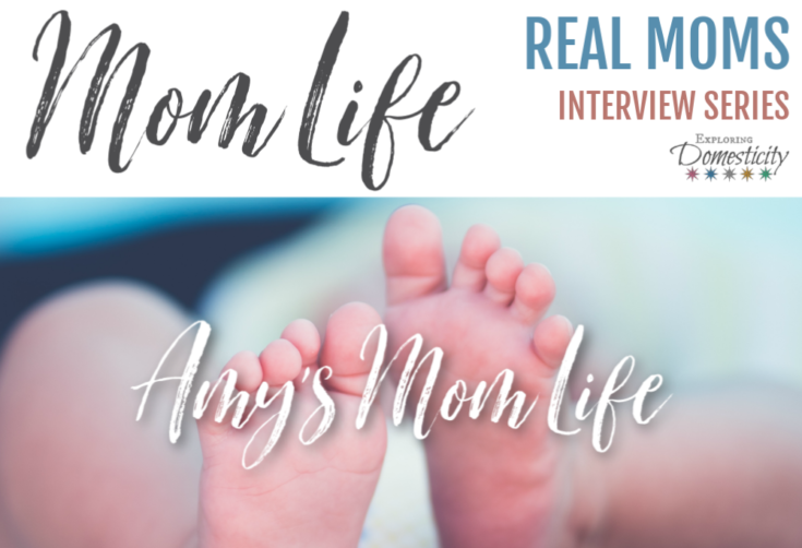Amy's Mom Life: Real Moms Interview Series ⋆ Exploring Domesticity